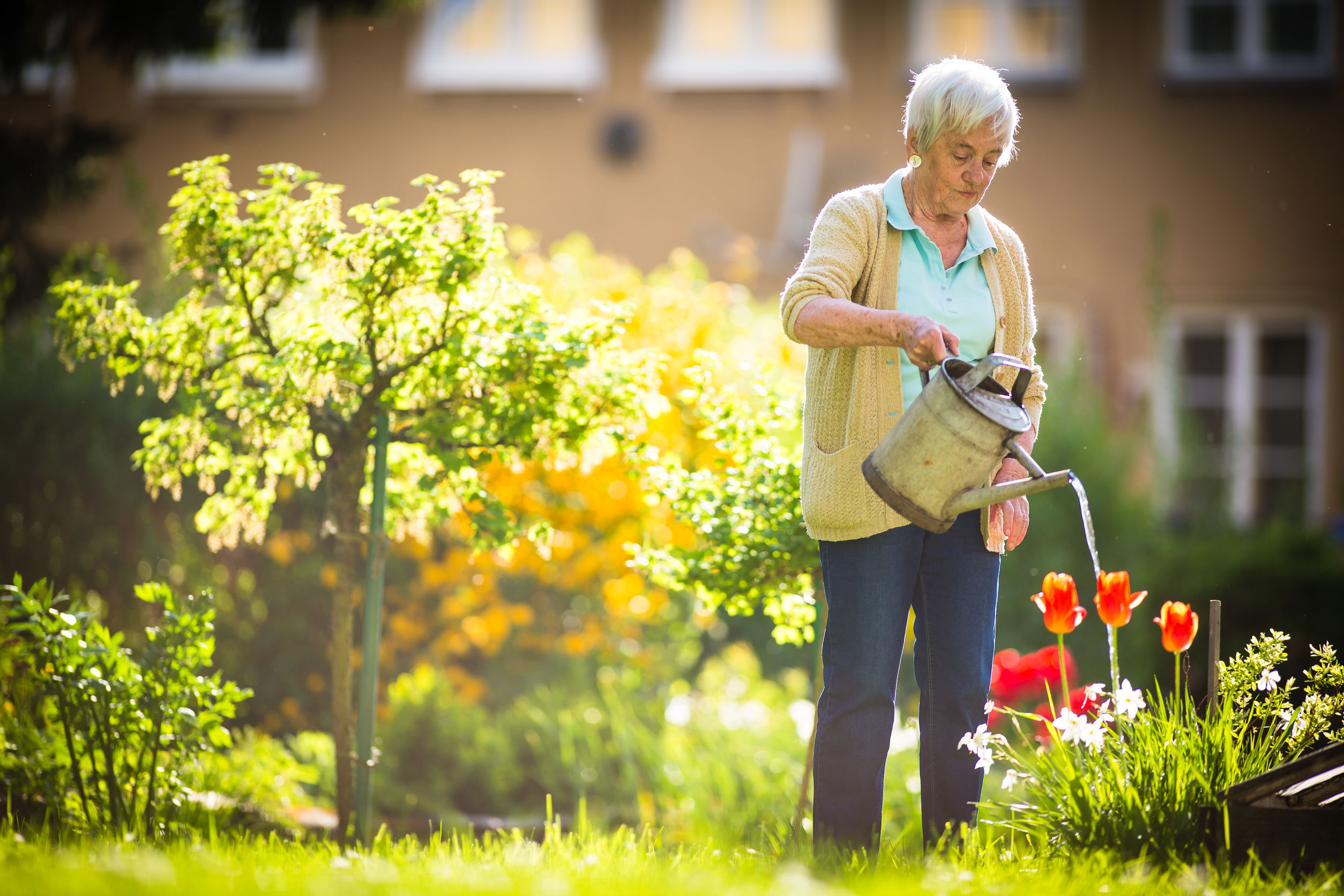 Spring Activities for Seniors - Caring Solutions